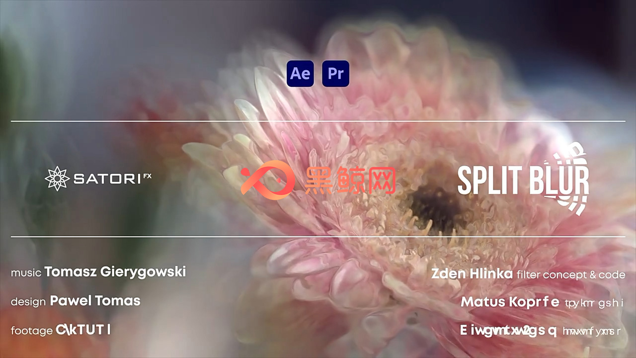 【中文汉化】万花筒分割模糊迷幻视觉特效 Split Blur v1.0.2_黑鲸网-让灵感多点时间自由释放!